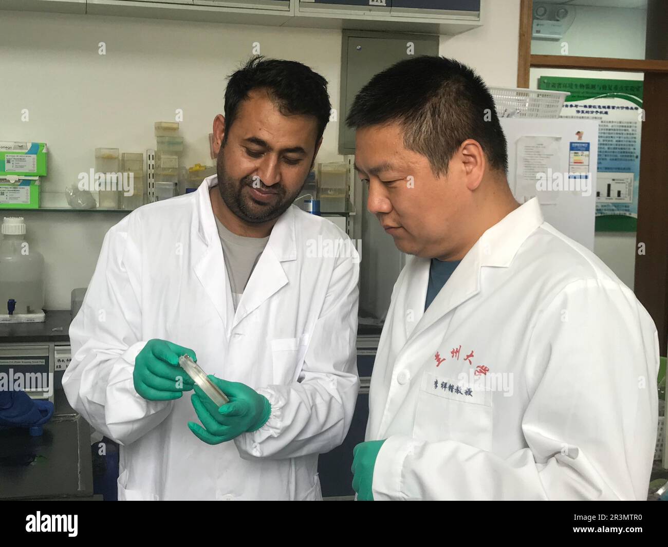 Status reports hi-res stock photography and images - Alamy