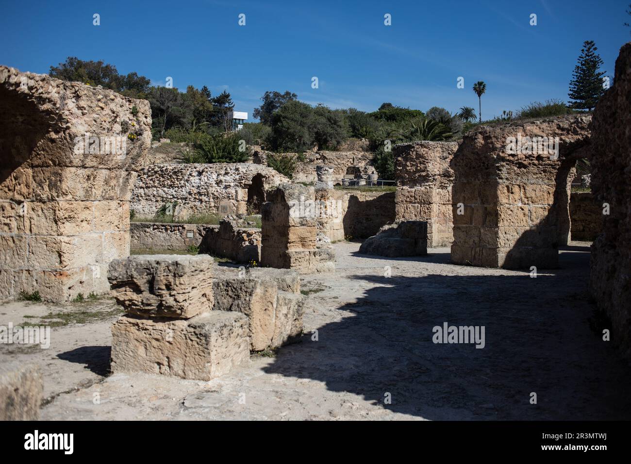 Carthage Baths of Antoninus in Tunisa, Tunisia Stock Photo - Alamy