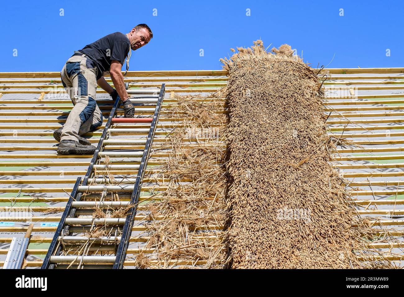 Tatched roof under construction - traditional way of work | Toiture en ...