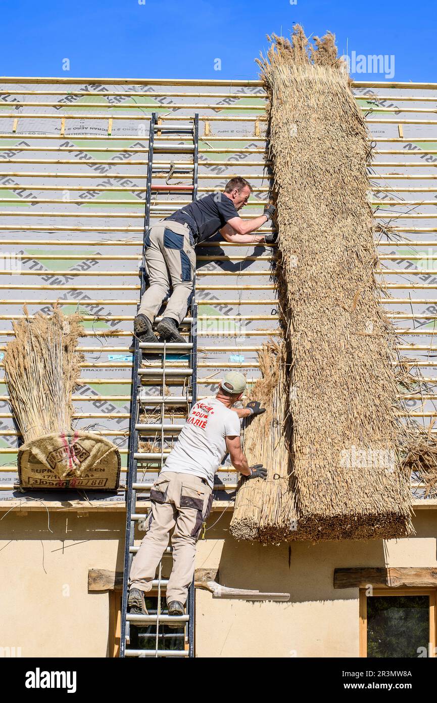 Tatched roof under construction - traditional way of work | Toiture en ...