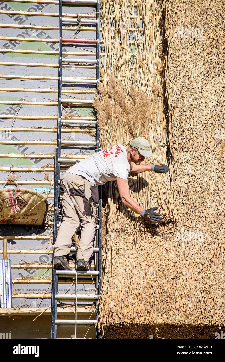 Tatched roof under construction - traditional way of work | Toiture en ...