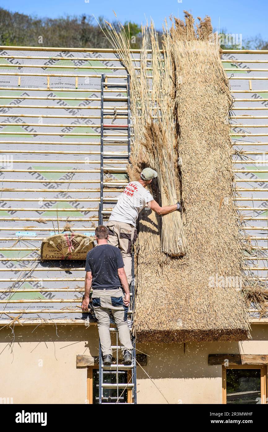 Tatched roof under construction - traditional way of work | Toiture en ...