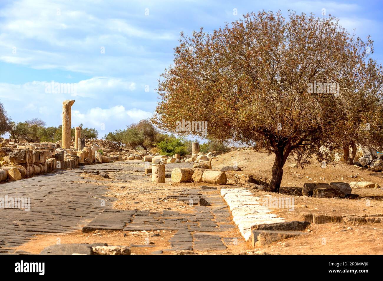 Roman road of Umm Qais, Jordan Stock Photo - Alamy