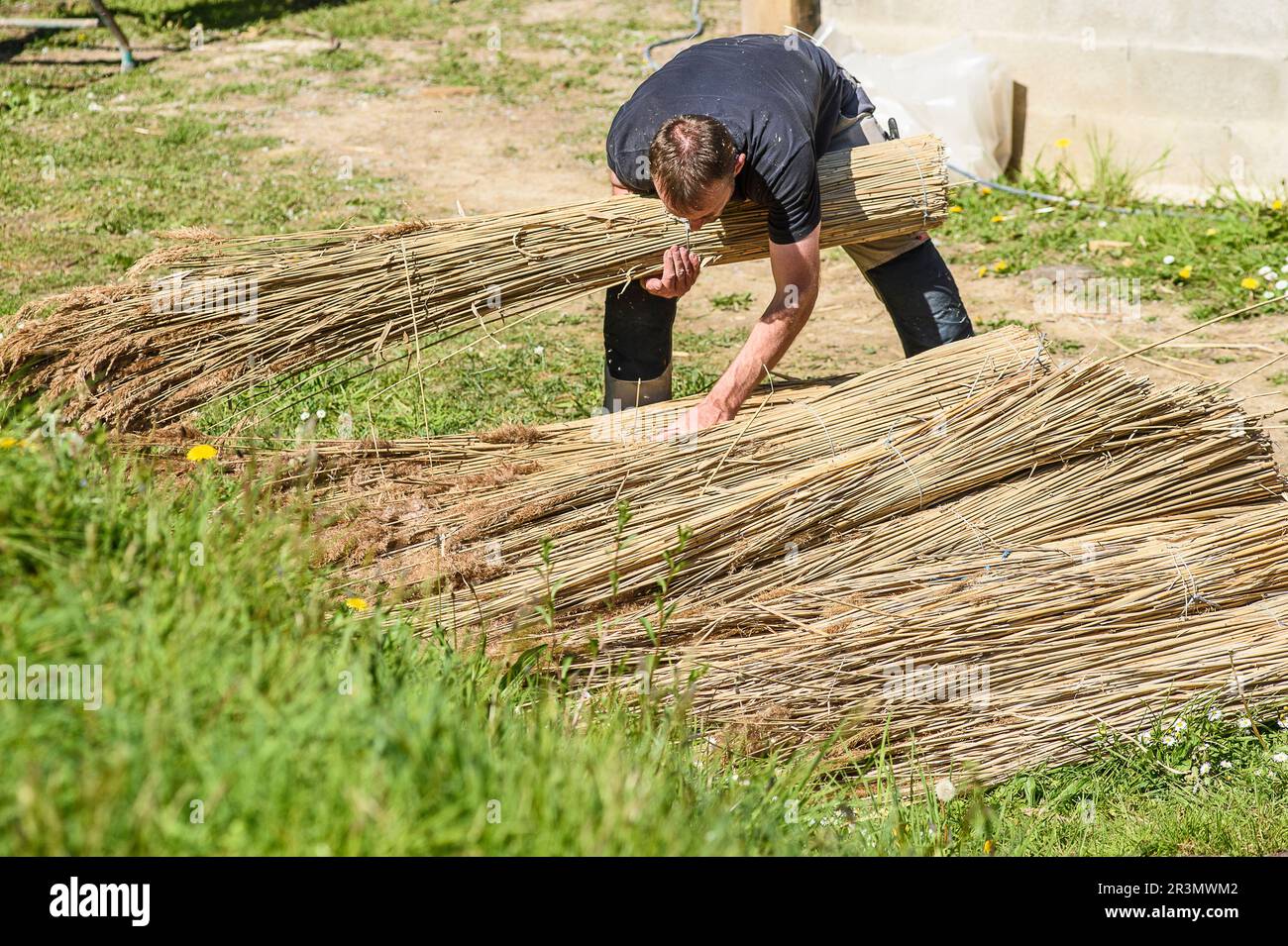 Tatched roof under construction - traditional way of work | Toiture en ... Tatched roof under construction - traditional way of work | Toiture en ...