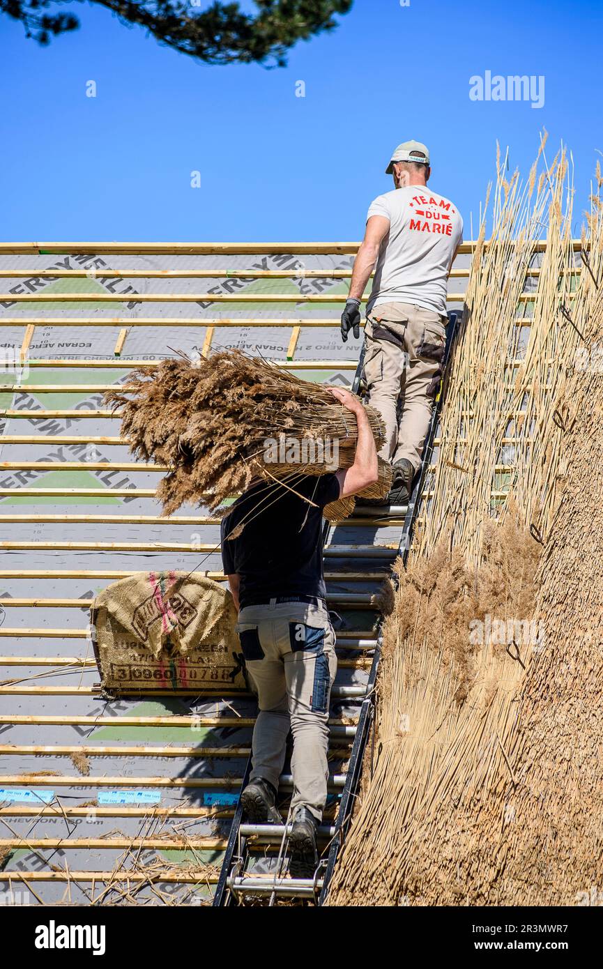 Tatched roof under construction - traditional way of work | Toiture en ...