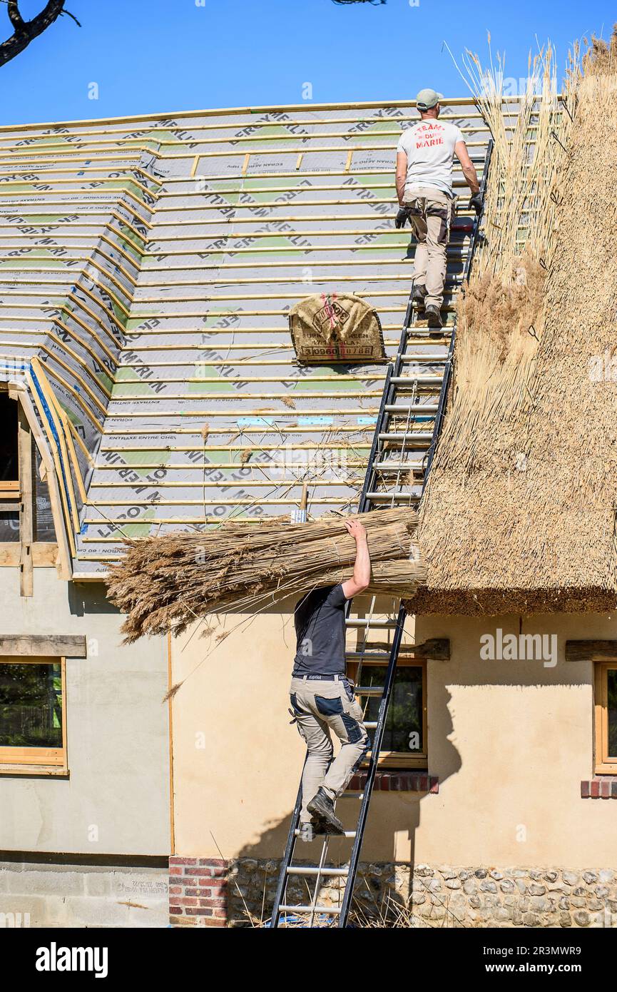 Tatched roof under construction - traditional way of work | Toiture en ...