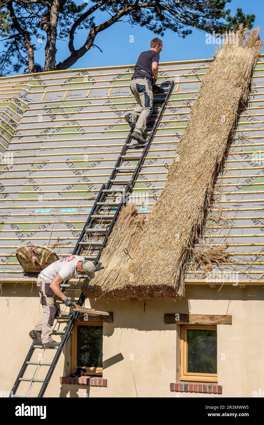 Tatched roof under construction - traditional way of work | Toiture en ...