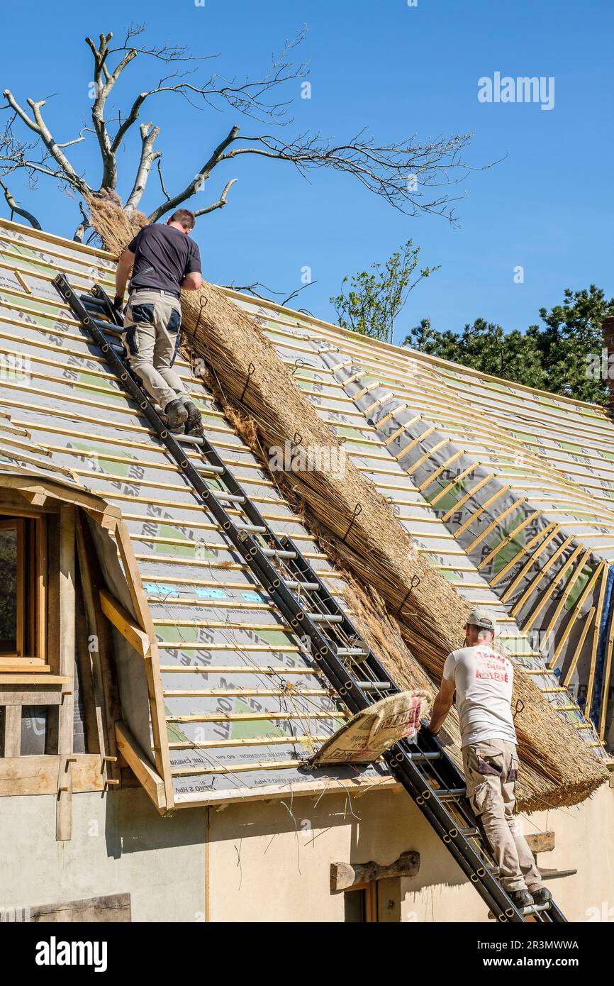 Tatched roof under construction - traditional way of work | Toiture en ...