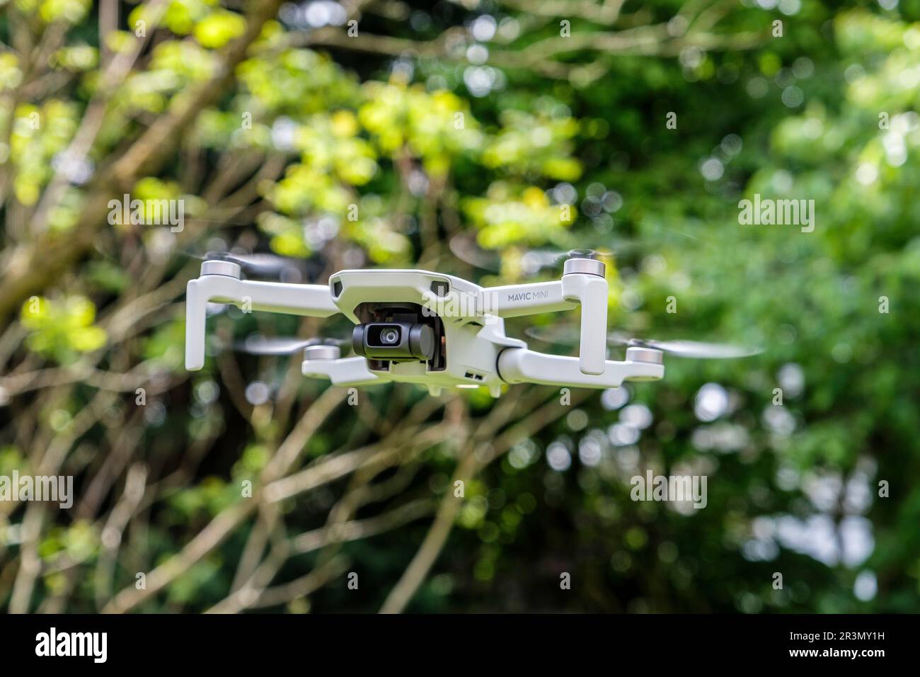 La limite des arbres hi-res stock photography and images - Alamy