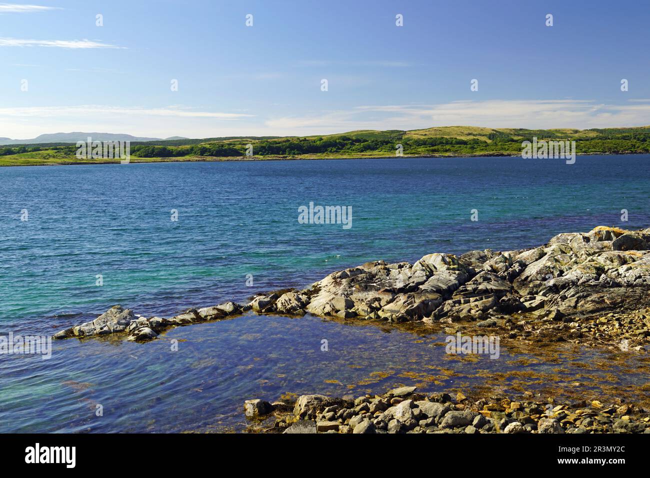 Sween hi-res stock photography and images - Alamy