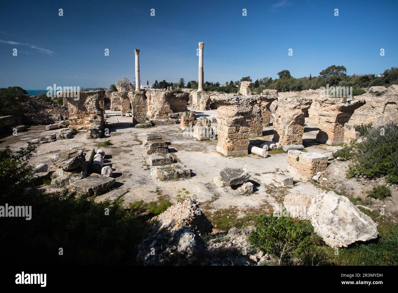 Carthage Baths of Antoninus in Tunisa, Tunisia Stock Photo - Alamy