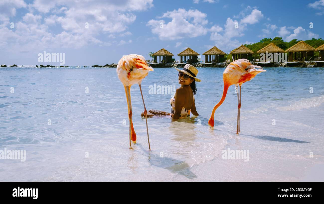 Women at the beach with pink flamingos , flamingo at the beach in Aruba ...