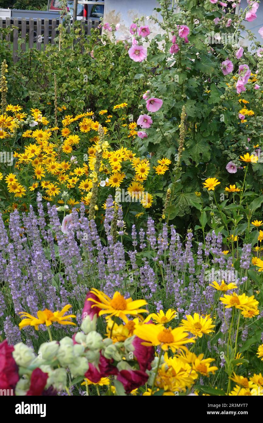 Garden at the parish widow house Gross Zicker Stock Photo - Alamy