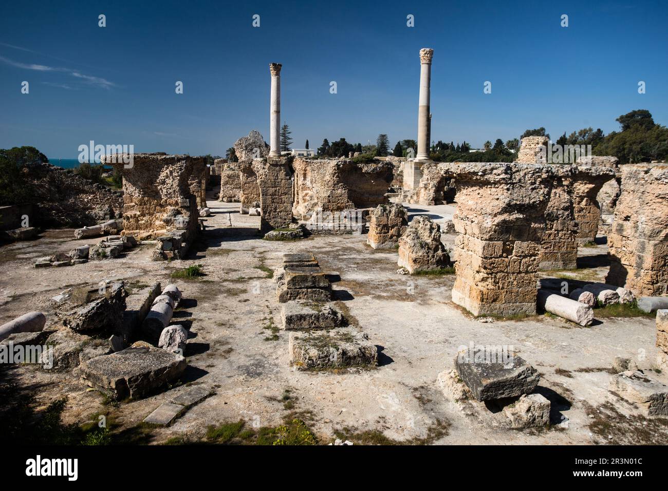 Carthage Baths of Antoninus in Tunisa, Tunisia Stock Photo - Alamy