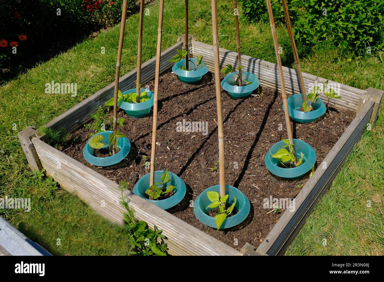 Slug protection hi-res stock photography and images - Alamy