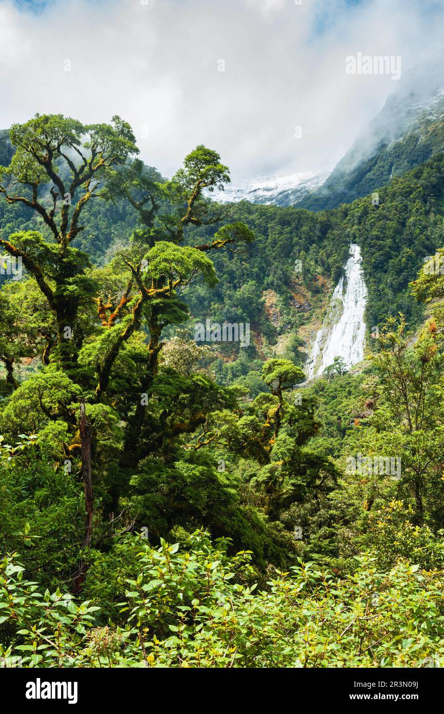 View of the Fiordland National Park at the South Island of New Zealand ...