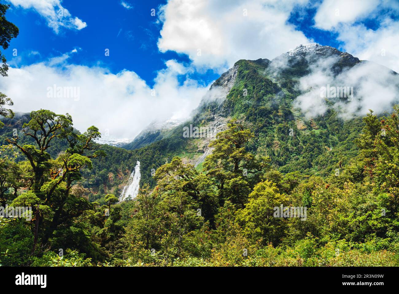 View of the Fiordland National Park at the South Island of New Zealand ...