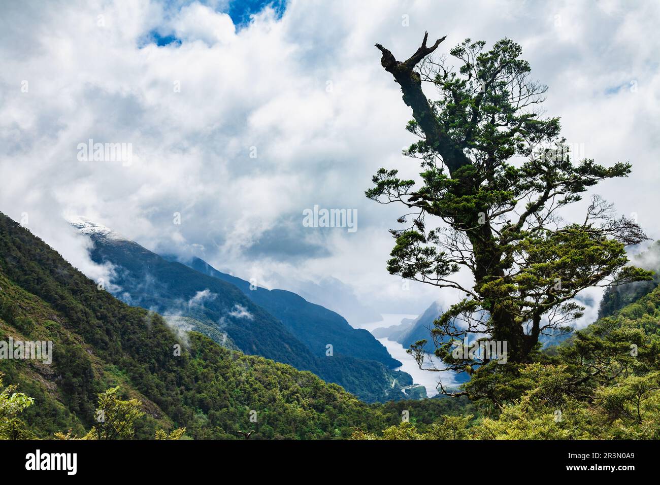 View of the Fiordland National Park at the South Island of New Zealand ...