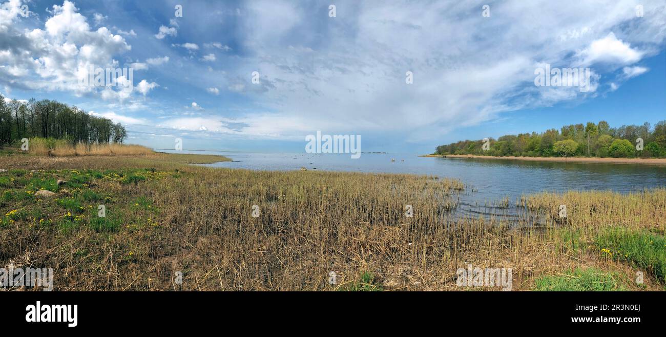 Beautiful picturesque lake flowers hi-res stock photography and images ...
