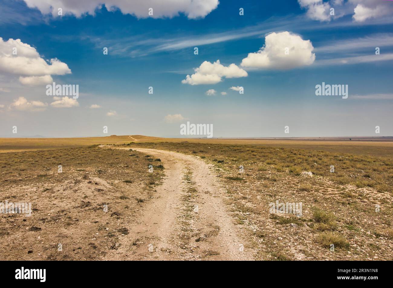Serengeti Trails and open blue skies over endless grass plains at ...
