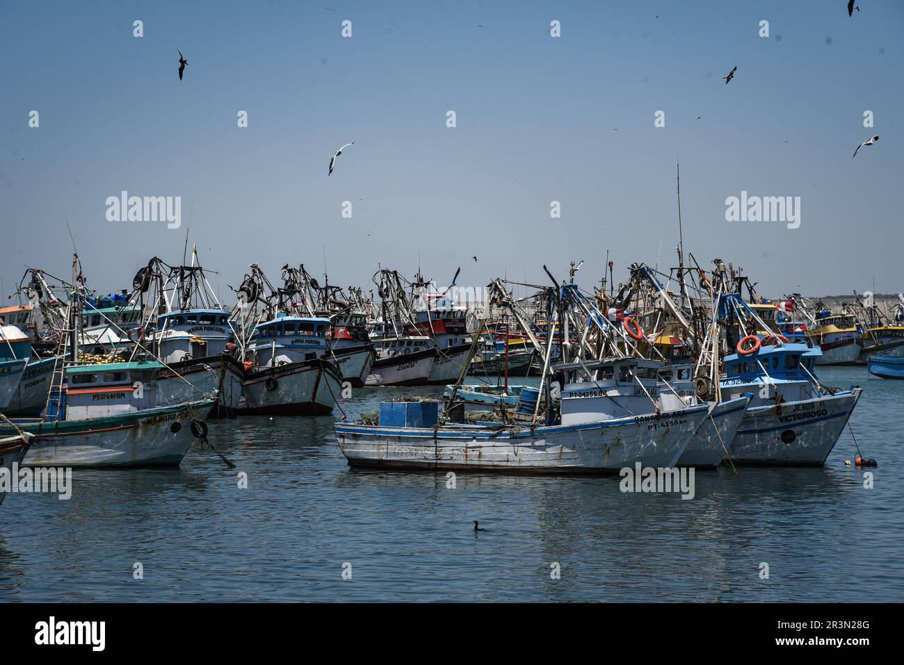 Nicolas Remene / Le Pictorium - El Nino phenomenon on the northern ...