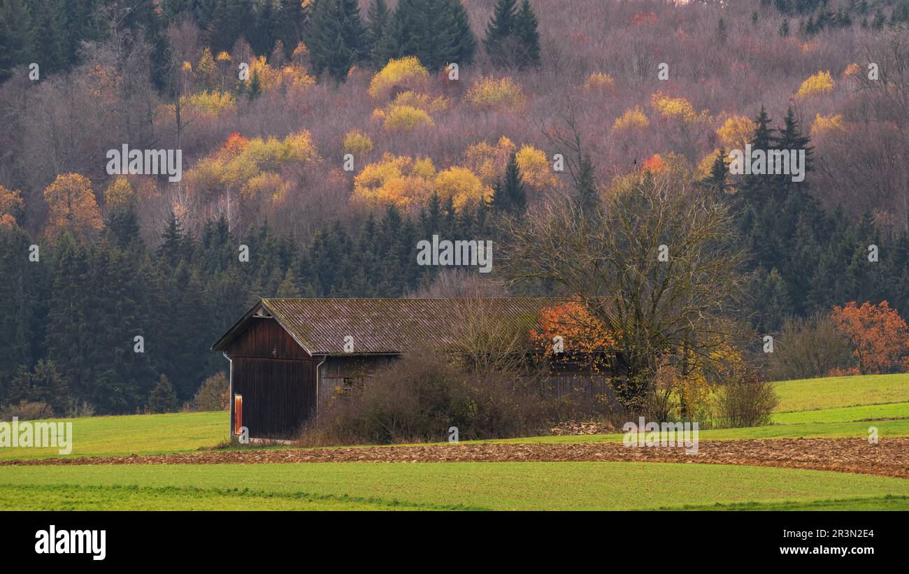 Beautiful autumn trees swabian forest hi-res stock photography and ...