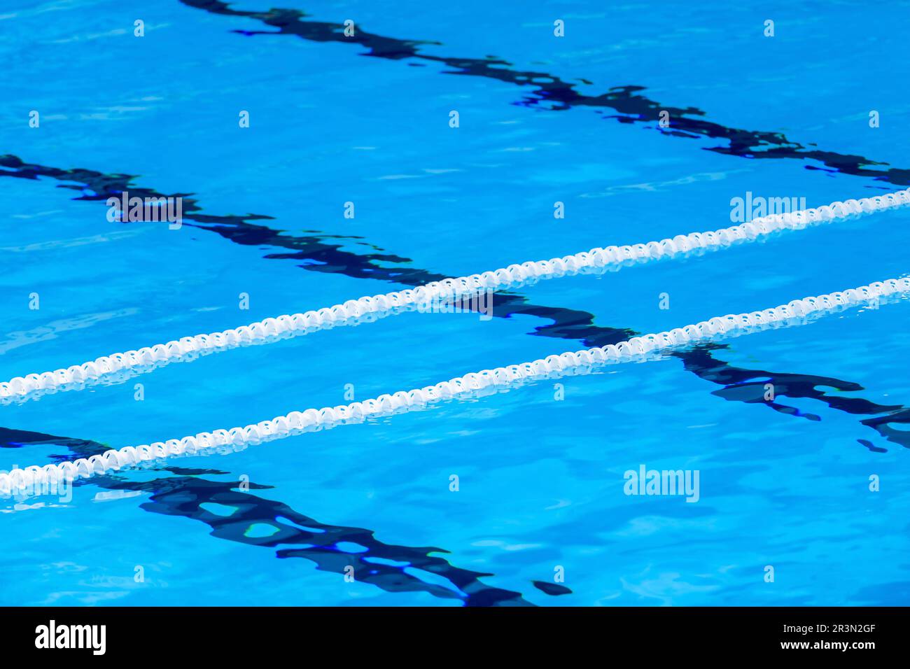 The view of an empty public swimming pool indoors. Lanes of a ...