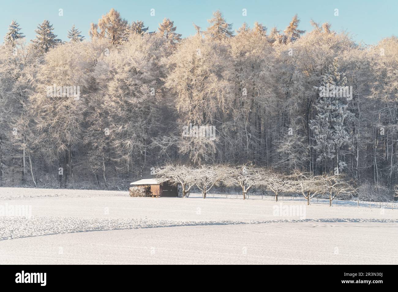 Small hut in front of forest with deep snow and hoar frost in the ...
