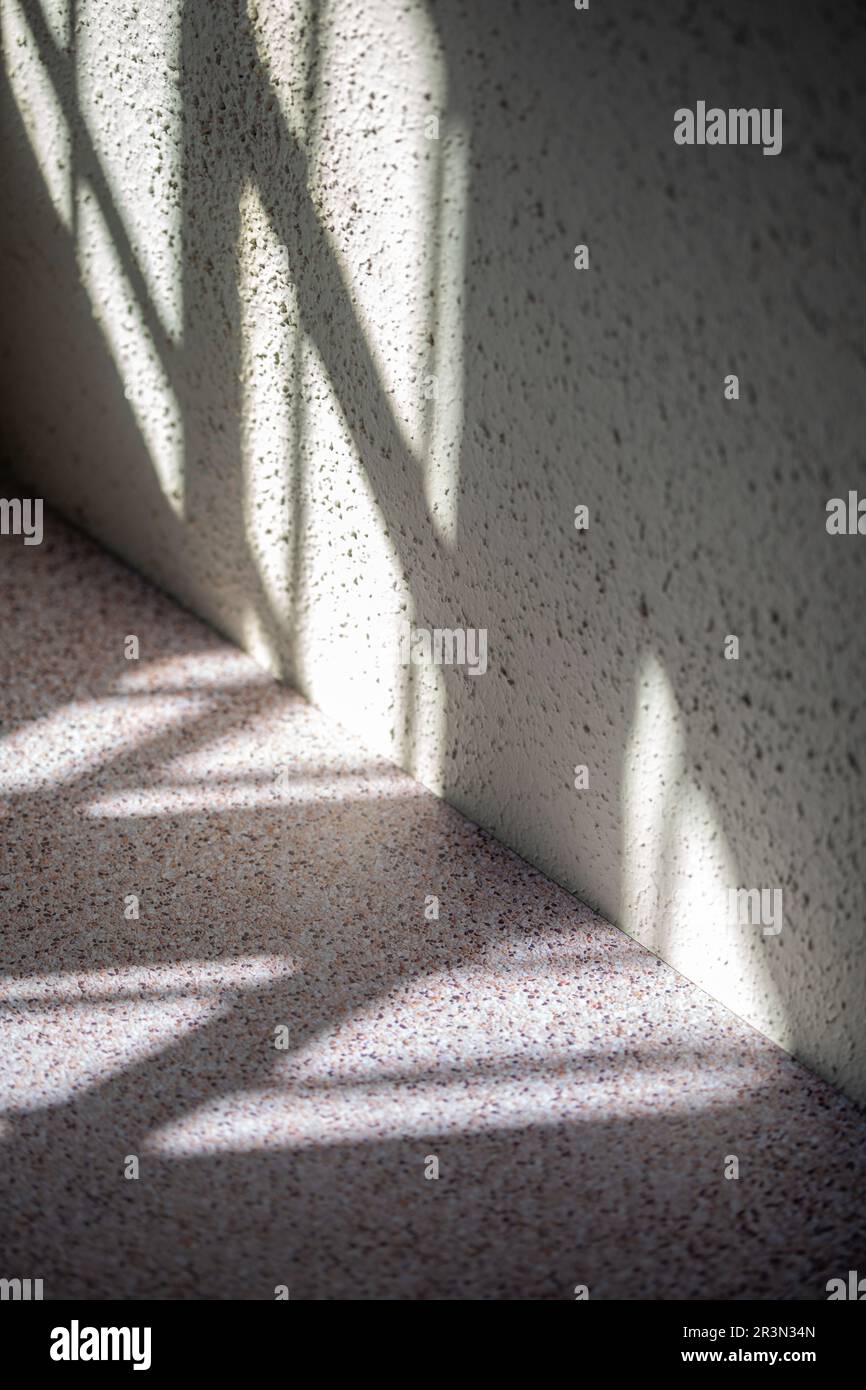 Natural Light And Shadow Photography