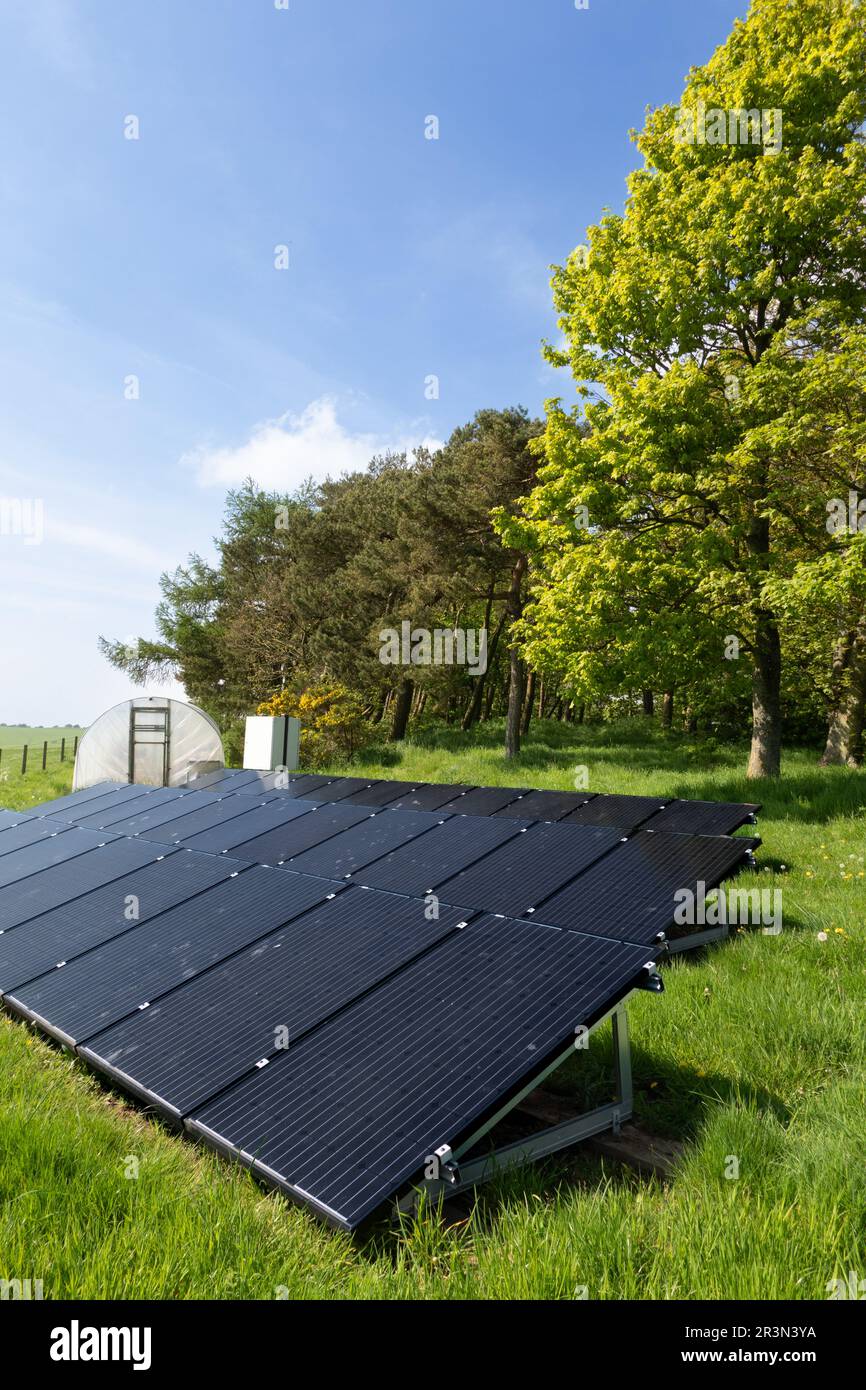 Line of ground level solar panels with polytunnel and trees in the ...