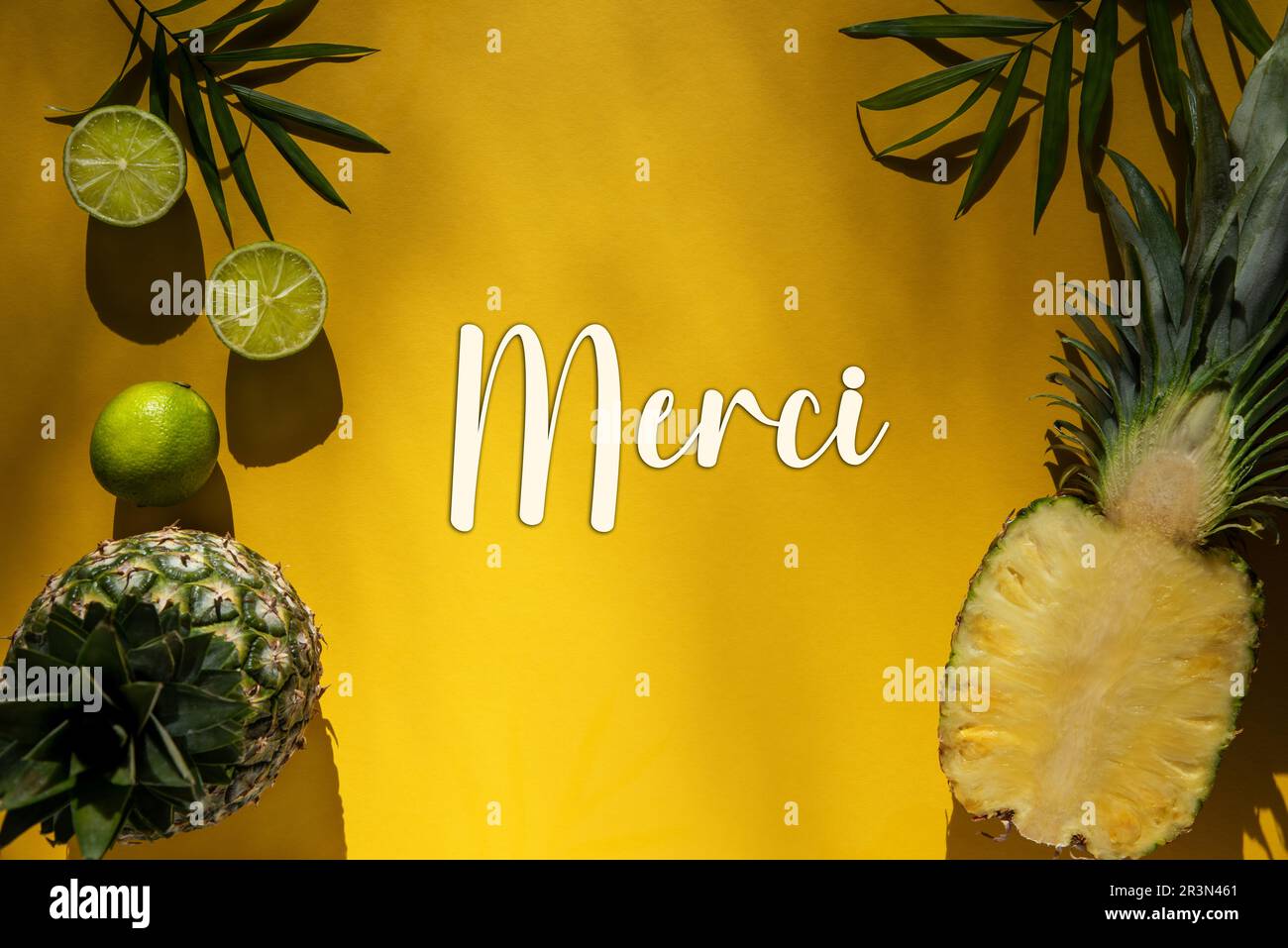 Yellow Flat Lay With French Text Merci Means Thank You. Yellow Summer ...