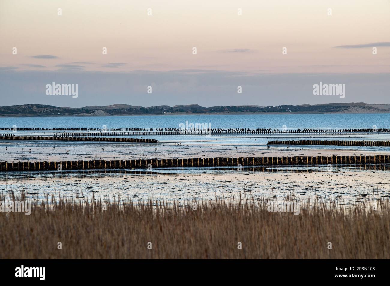 Wadden sea national park wadden hi-res stock photography and images - Alamy
