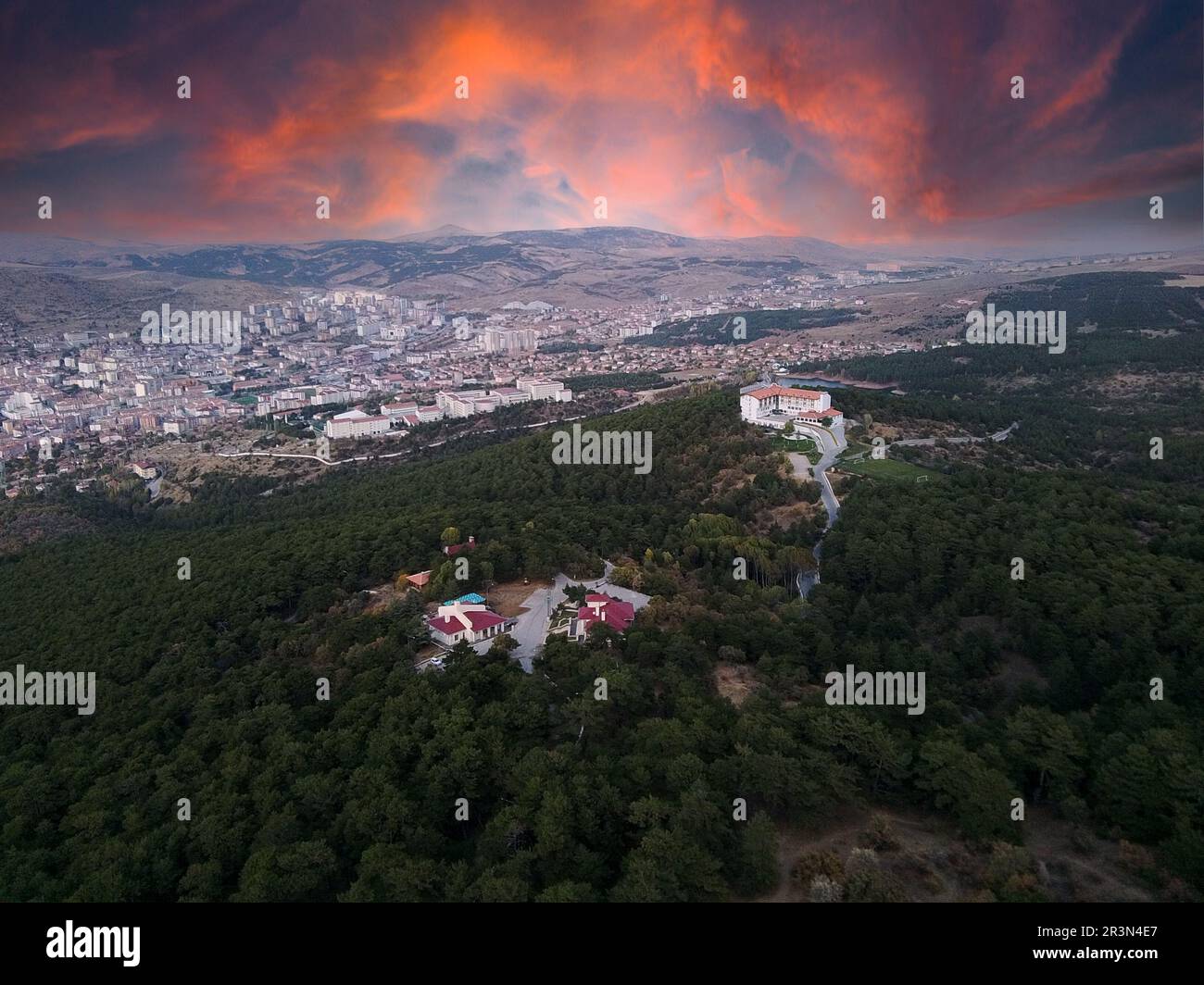 Yozgat pine hi-res stock photography and images - Alamy