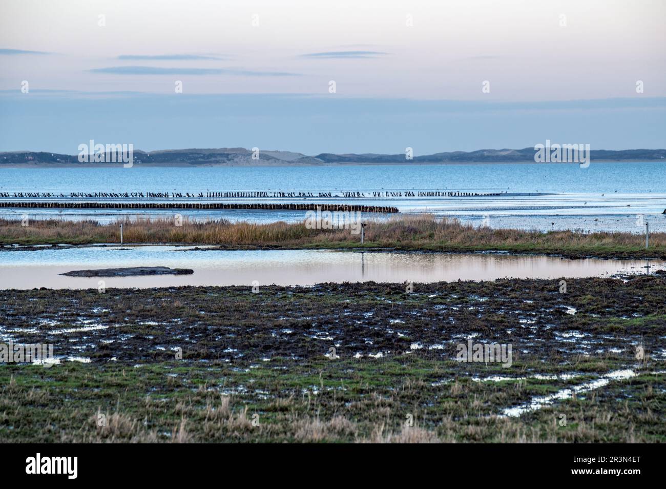Wadden sea conservation area hi-res stock photography and images - Alamy