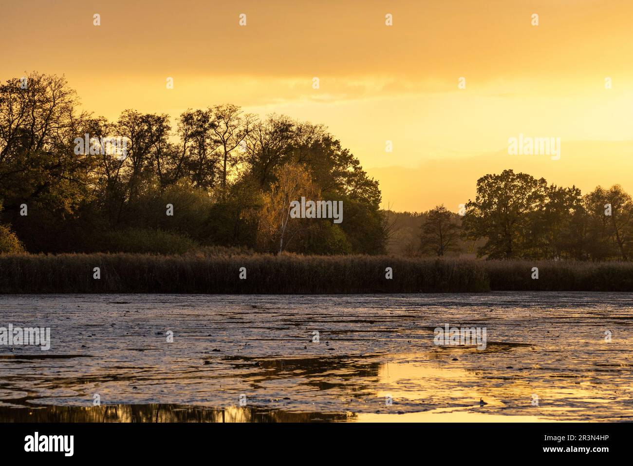 Upper lusatia heath and pond landscape hi-res stock photography and ...