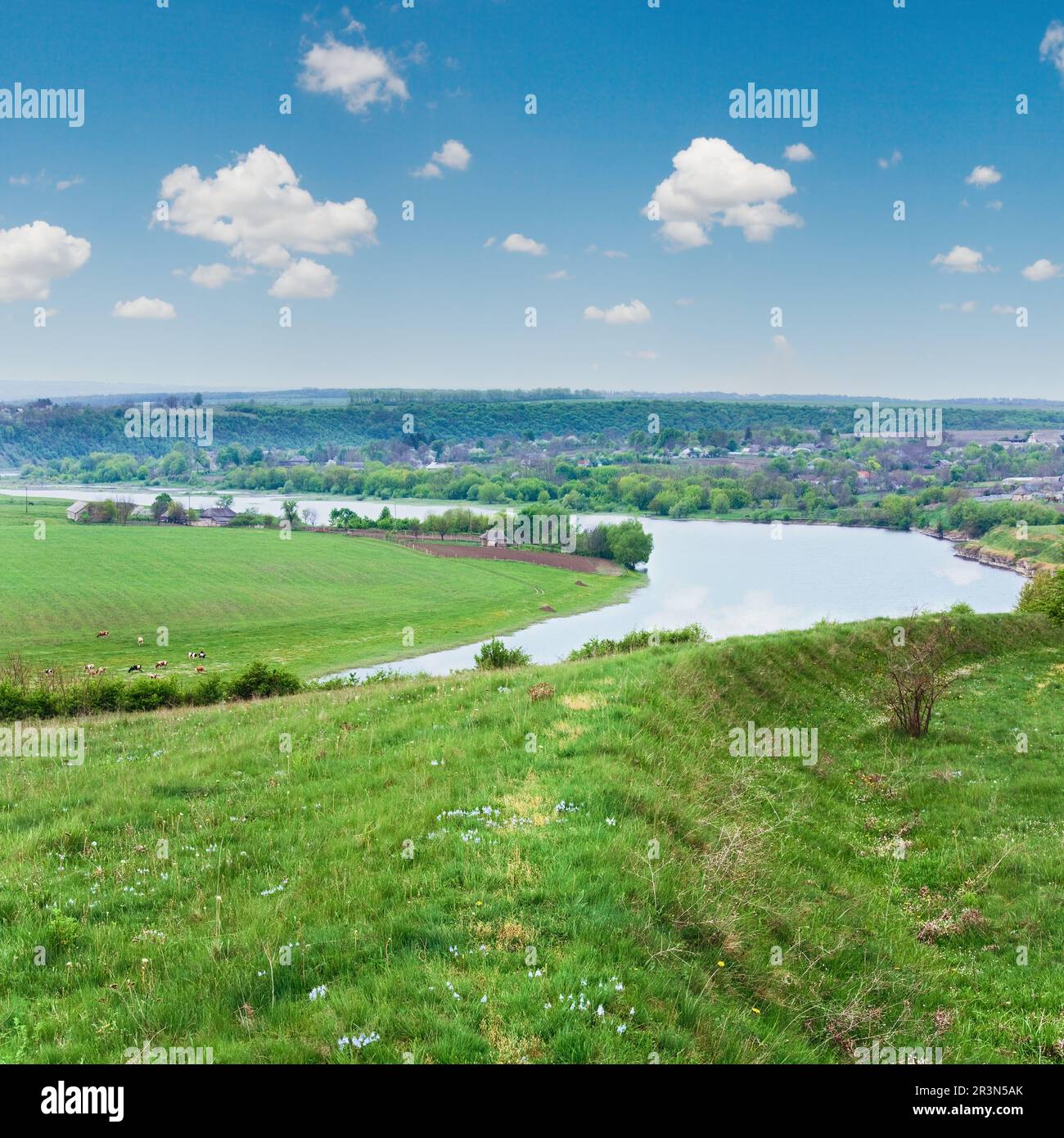 Spring country landscape with river (Carpathian, Ukraine Stock Photo ...