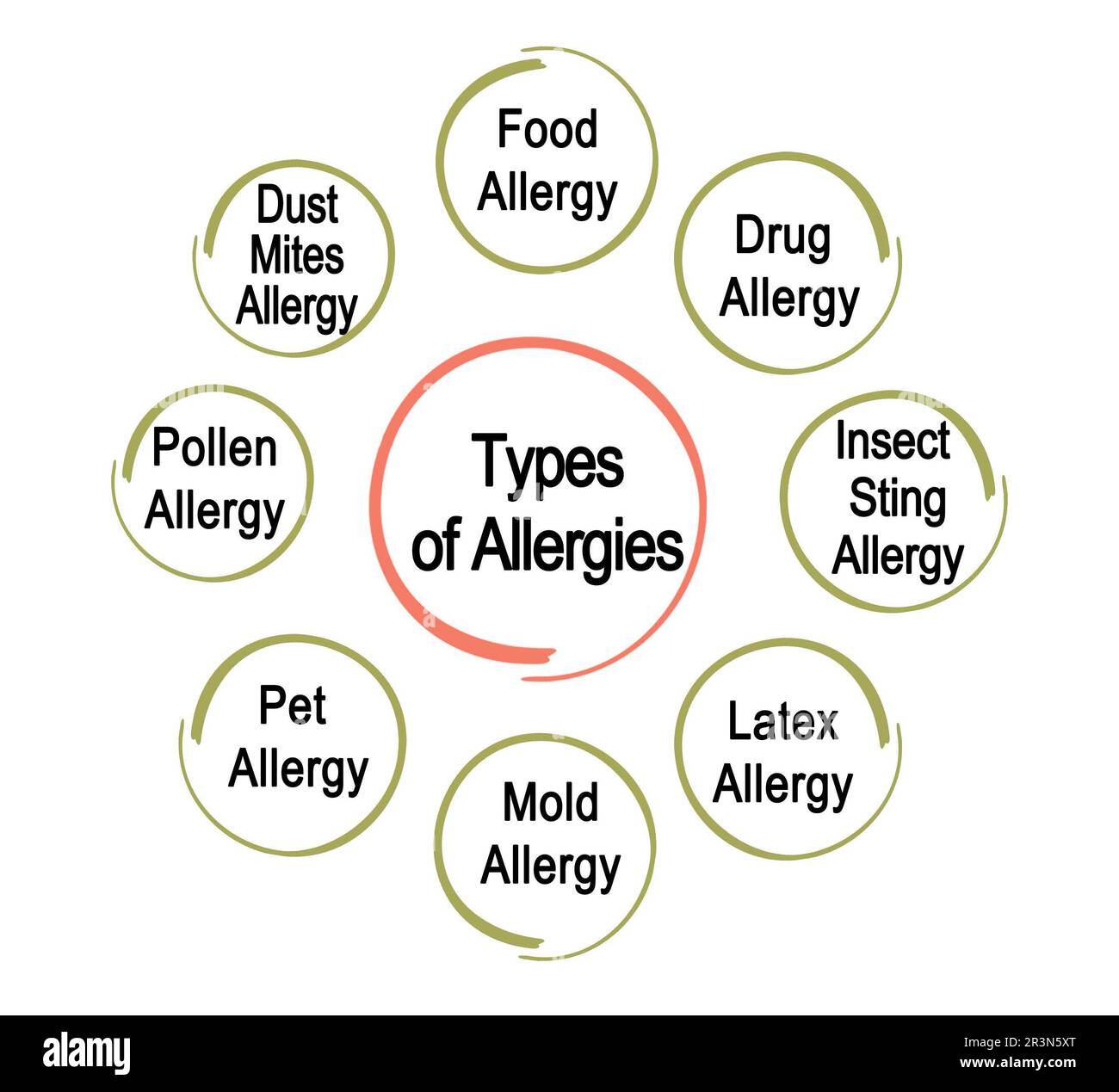 Eight Types of Allergies Stock Photo - Alamy
