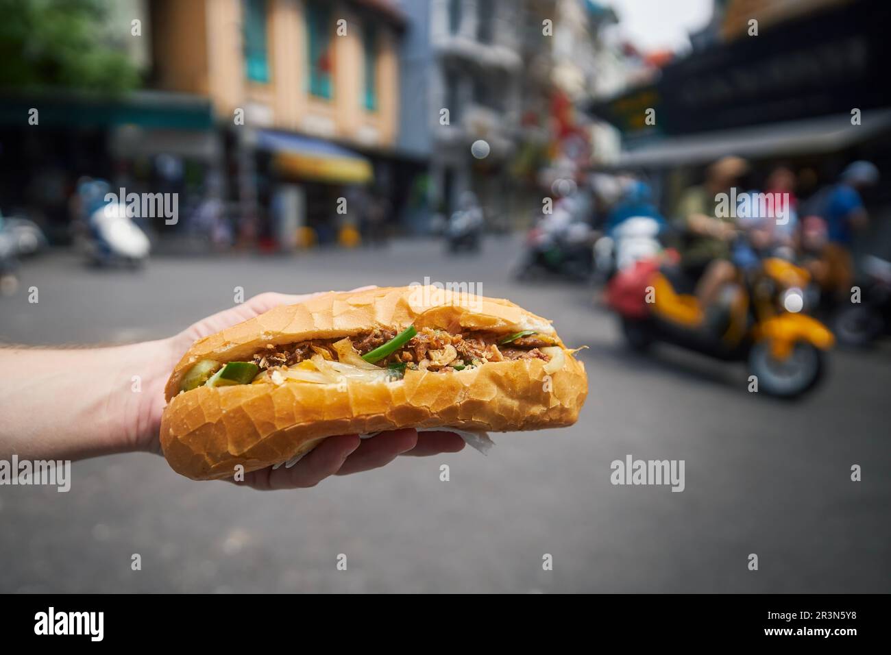 Street food in Hanoi. Hand holding Banh Mi sandwich. Close-up of ...