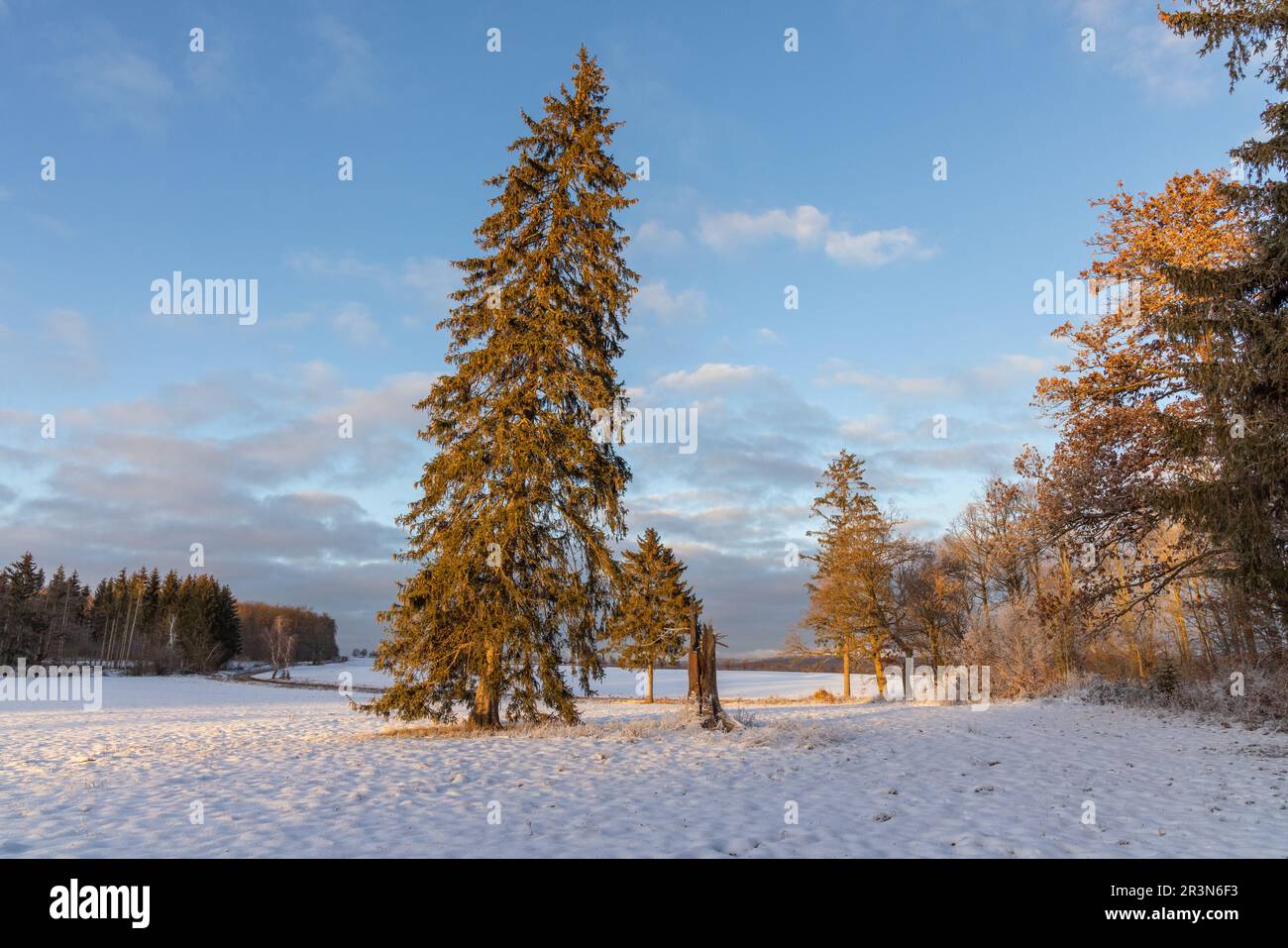 Atmospheric landscape hi-res stock photography and images - Alamy