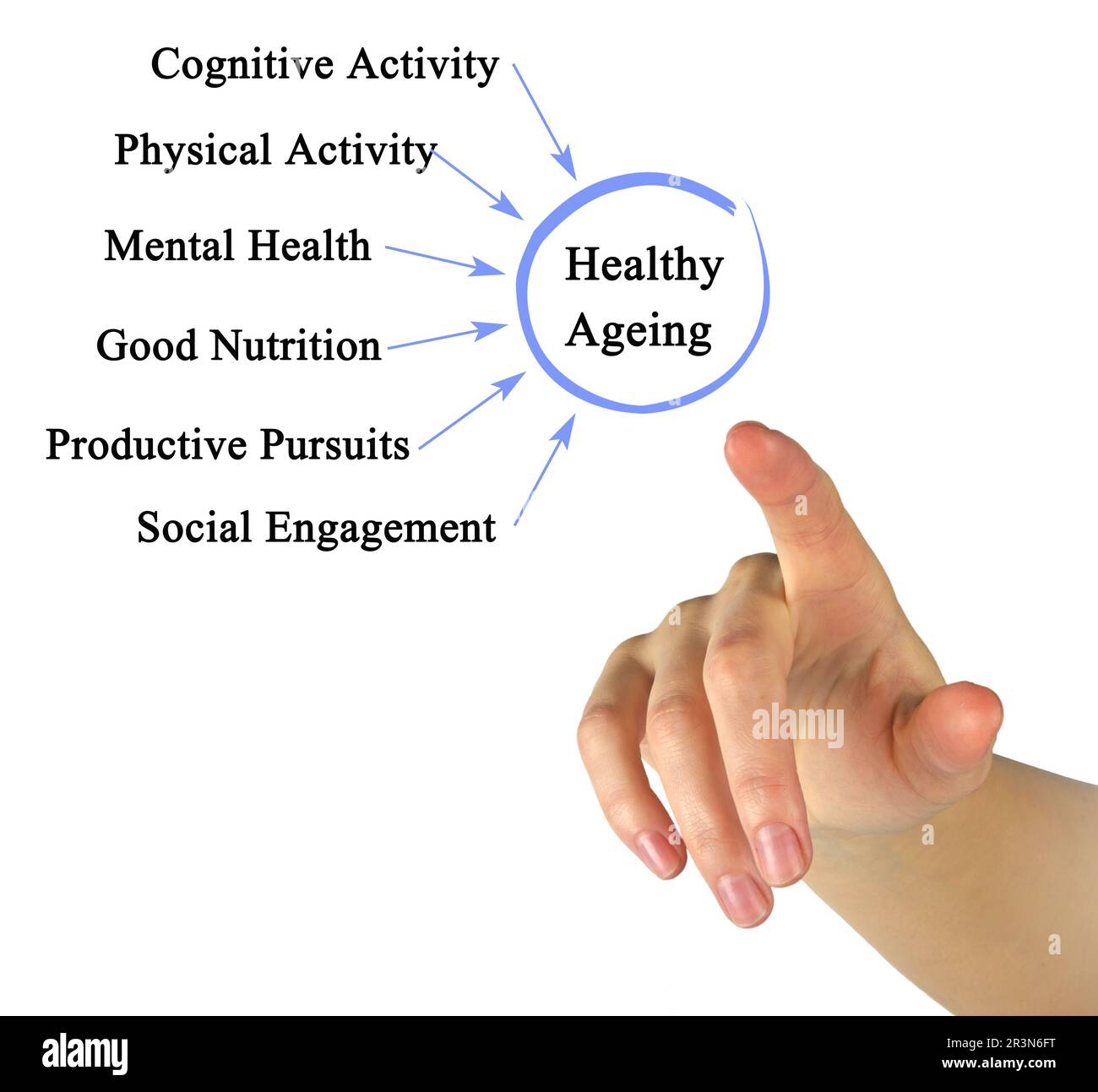 Six Drivers of Healthy Ageing Stock Photo - Alamy