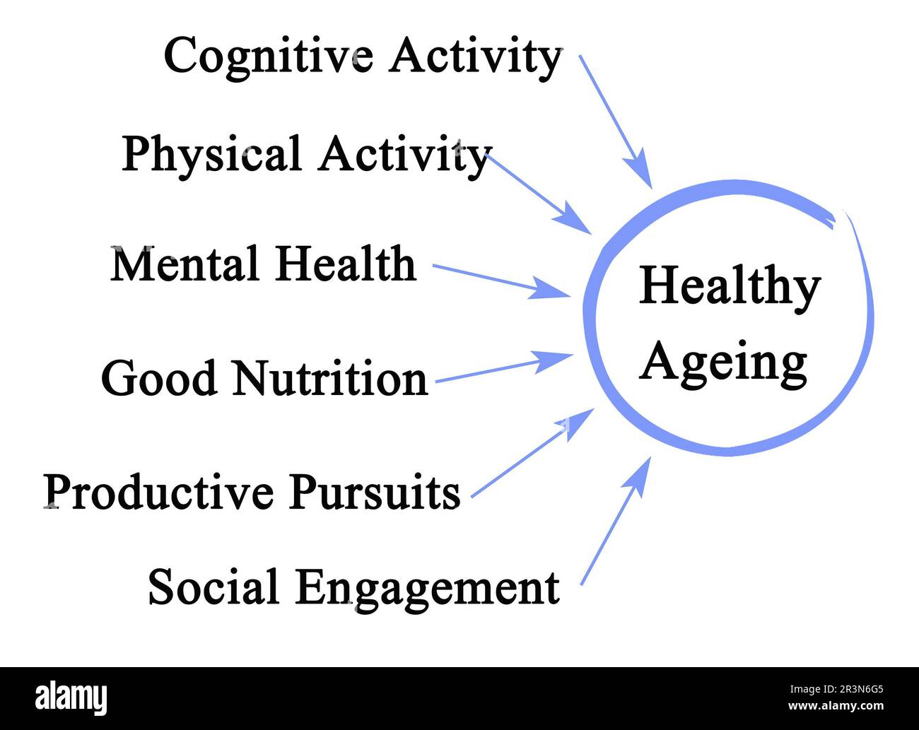 Six Drivers of Healthy Ageing Stock Photo - Alamy