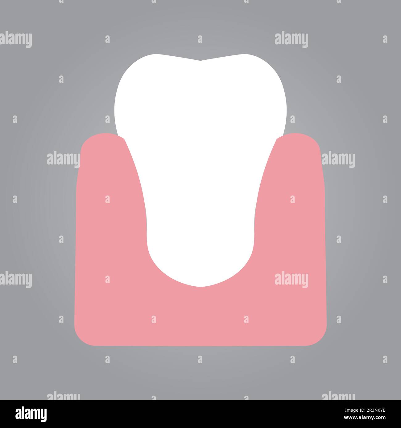illustration of teeth with gum, vector design Stock Vector Image & Art ...