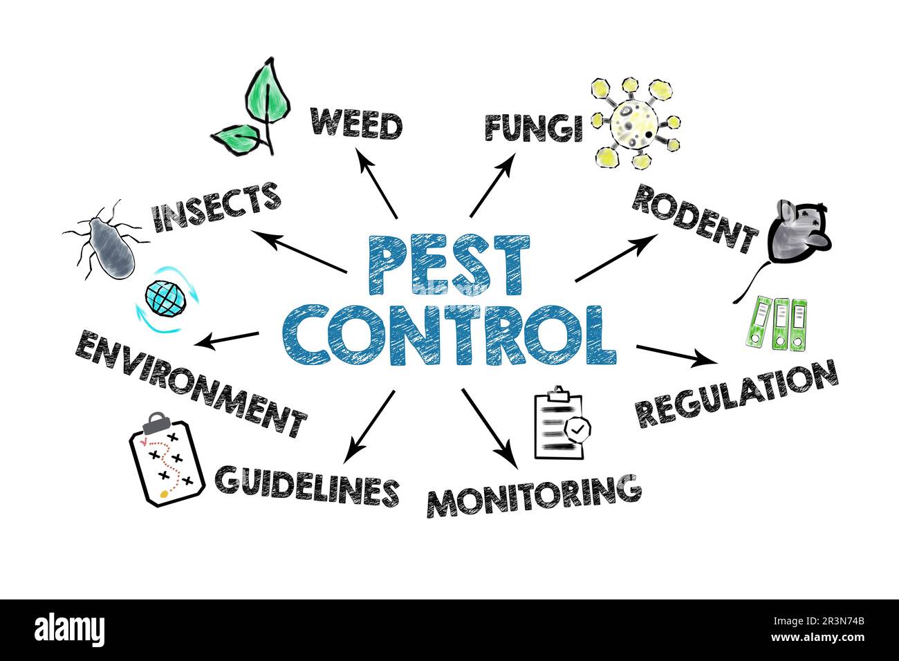 Pest Control Concept. Illustration with icons, arrows and keywords on a ...