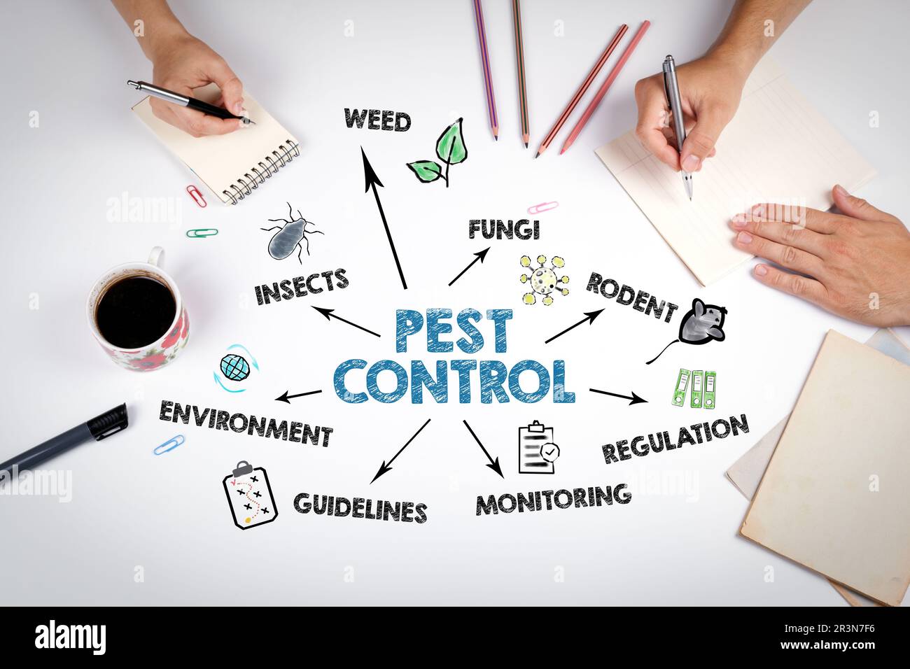 Pest Control Concept. The meeting at the white office table Stock Photo ...