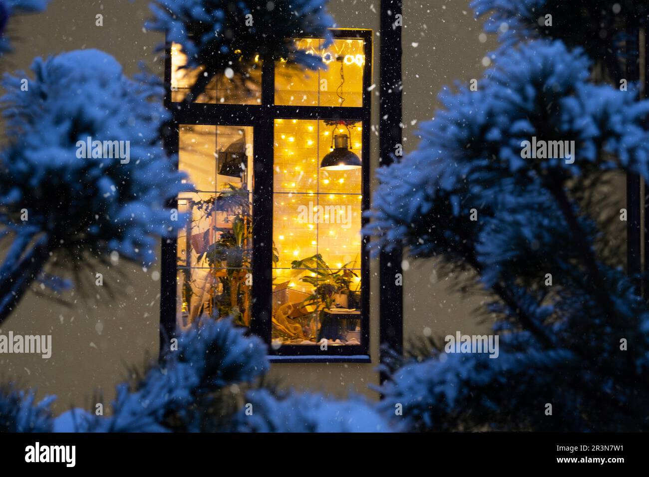 Cozy festive window of the house outside with the warm light of fairy ...