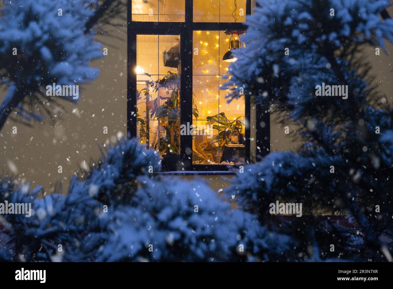 Cozy festive window of the house outside with the warm light of fairy ...