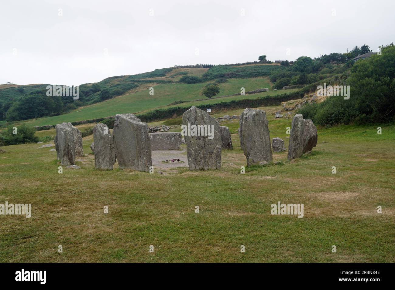 Circle of cows hi-res stock photography and images - Alamy