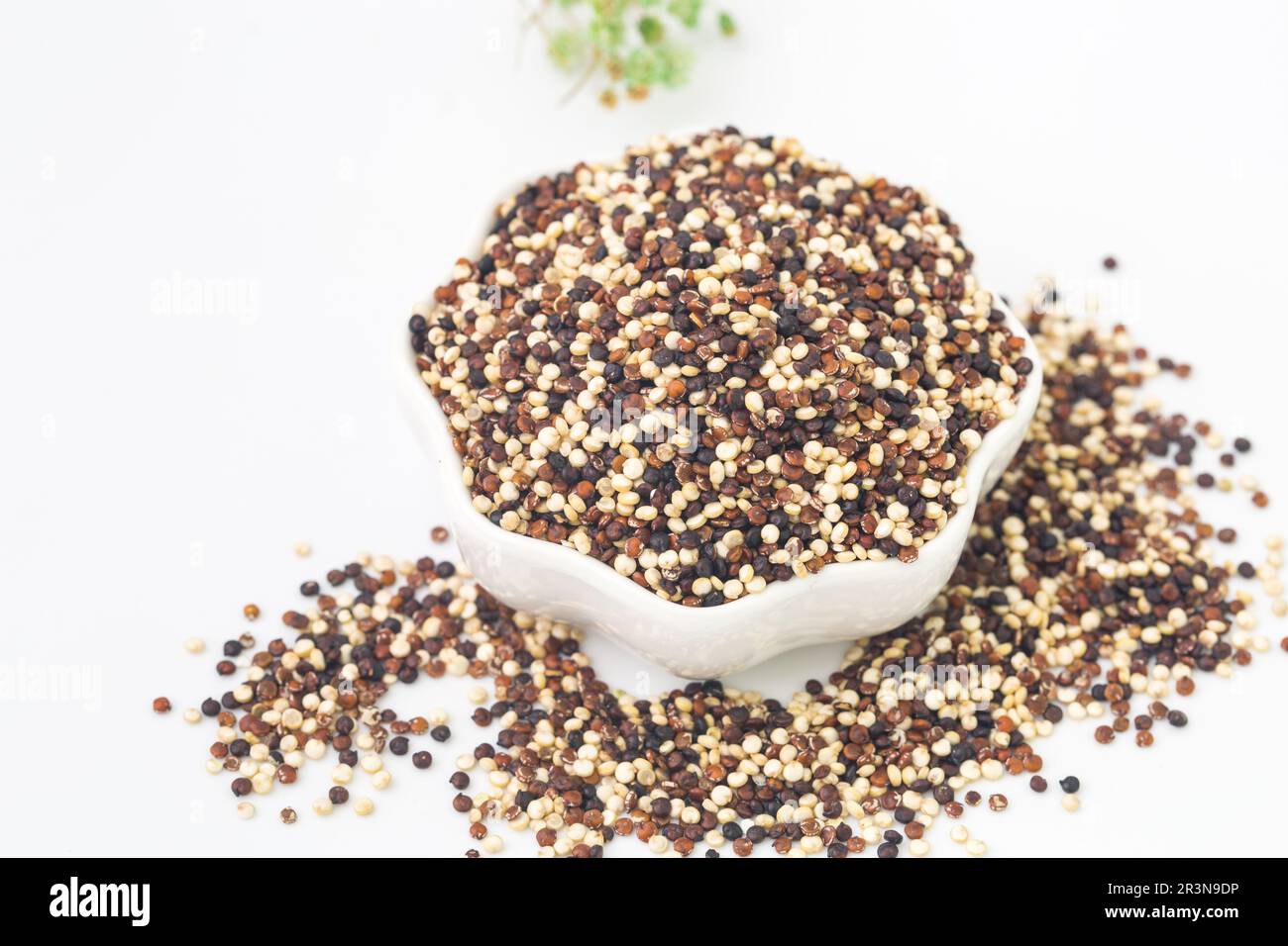 American grain hi-res stock photography and images - Alamy