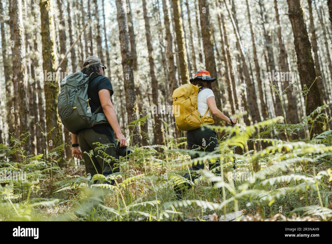 Low angle of unrecognizable couple of tourists in casual clothes with ...