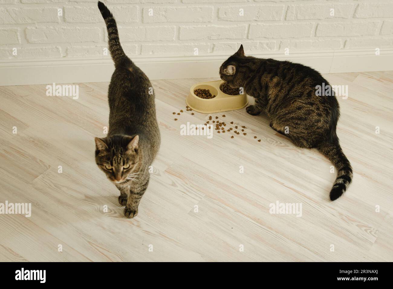 Spill food eat eating hi-res stock photography and images - Alamy